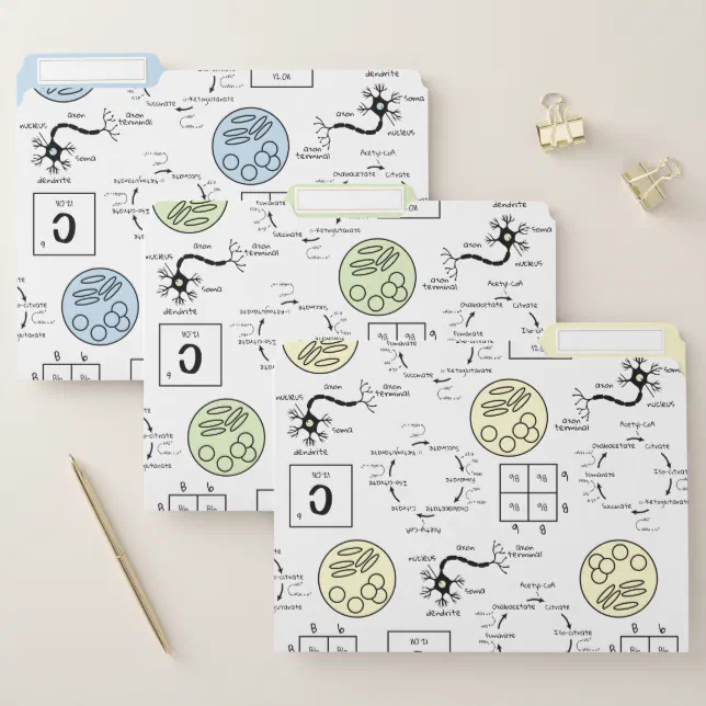 Biology Teacher Life Science School Cell Genetics File Folder | Zazzle