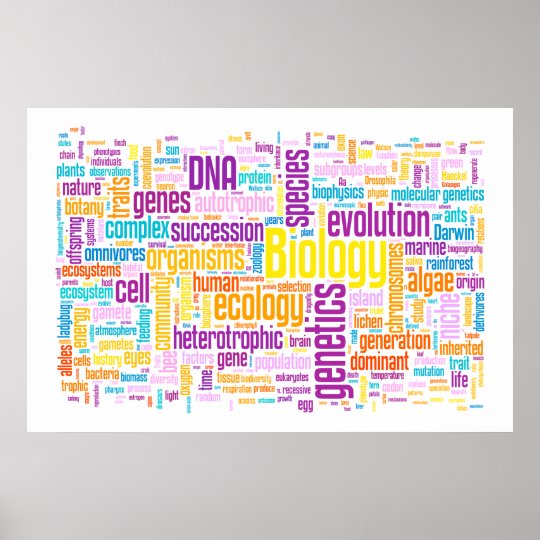 Biology Wordle No. 10 Sunrise Poster | Zazzle.com