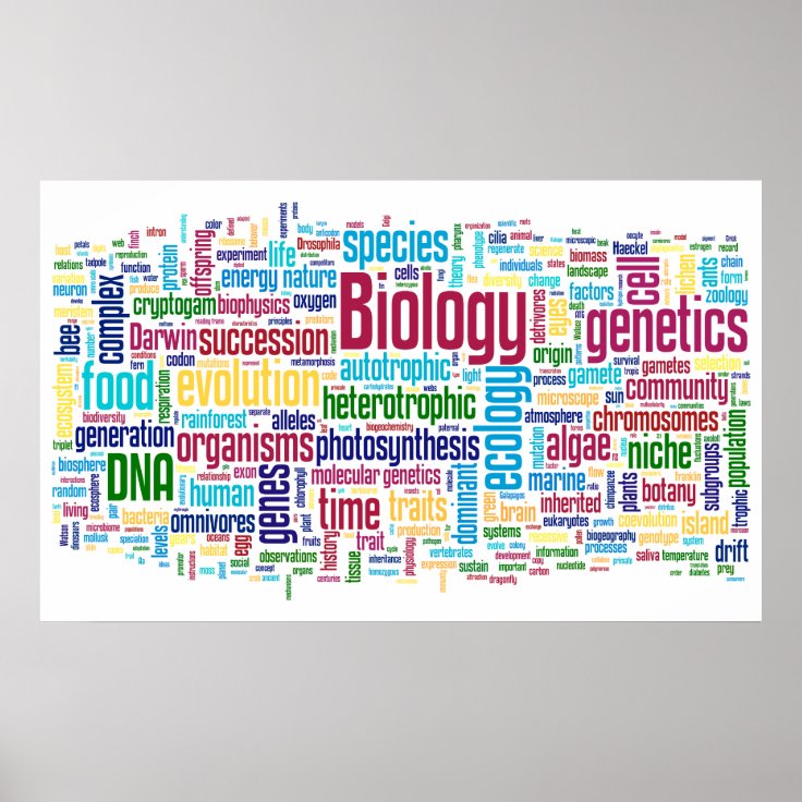 Biology Wordle No. 13 Poster | Zazzle