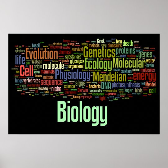 Biology Wordle No. 8 Black Poster | Zazzle.com