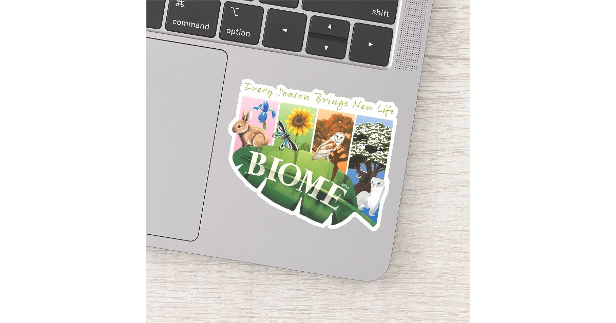 Biome Seasons Vinyl Sticker | Zazzle