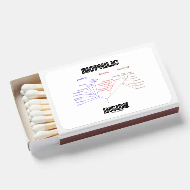 Biophilic Inside Phylogenetic Tree Of Life Biology Matchboxes | Zazzle