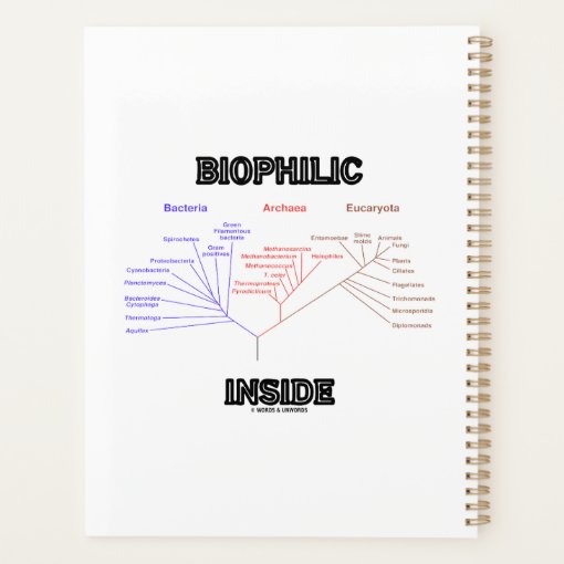 Biophilic Inside Phylogenetic Tree Of Life Biology Planner | Zazzle