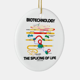 Biotechnology The Splicing Of Life (Mature RNA) Ceramic Ornament | Zazzle