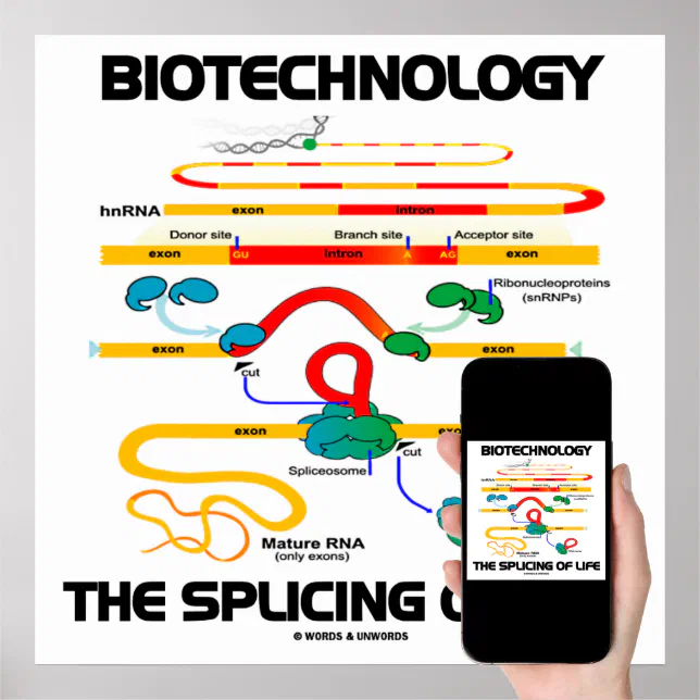 Biotechnology The Splicing Of Life (Mature RNA) Poster | Zazzle