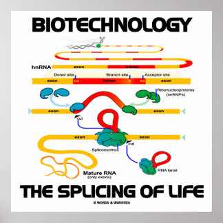 Biotechnology Posters | Zazzle