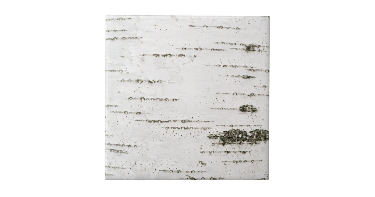 Birch bark ceramic tile | Zazzle