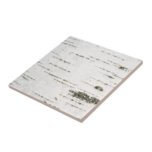 Birch bark ceramic tile | Zazzle