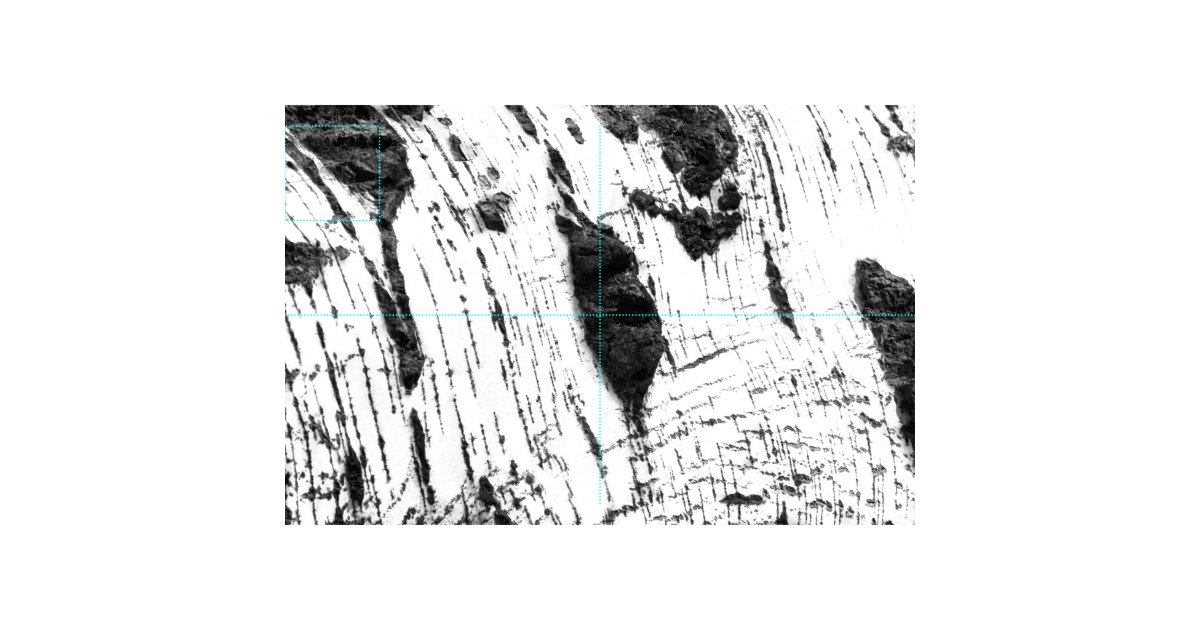 Birch bark pattern fabric | Zazzle