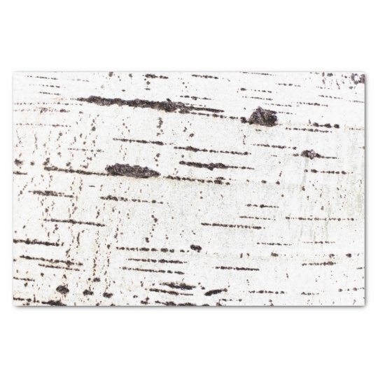 Birch bark pattern tissue paper | Zazzle.com