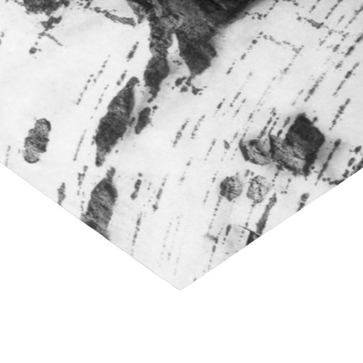 Birch bark pattern tissue paper | Zazzle