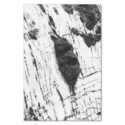 Birch bark pattern tissue paper | Zazzle