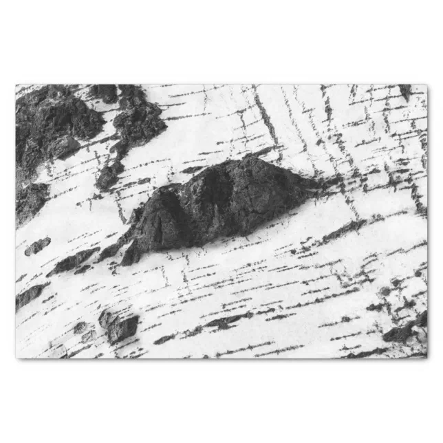 Birch bark pattern tissue paper | Zazzle