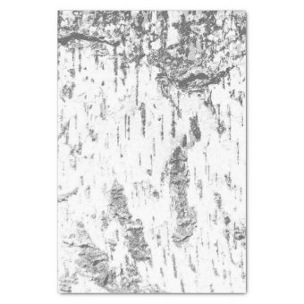Birch Bark - Simple Rustic Tissue Paper | Zazzle