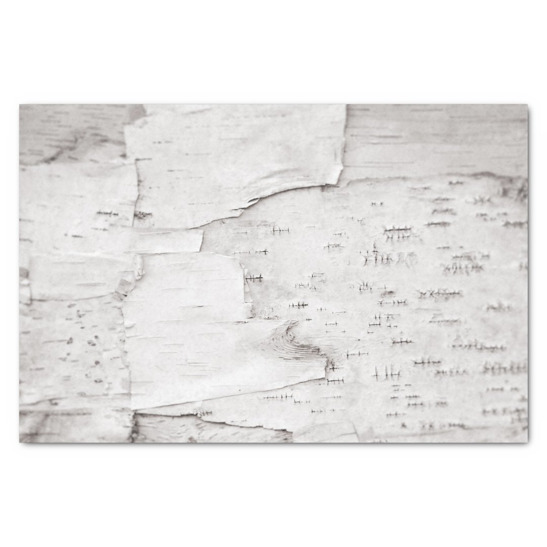 Birch Bark Tree White Rustic Country Woodland Tissue Paper | Zazzle