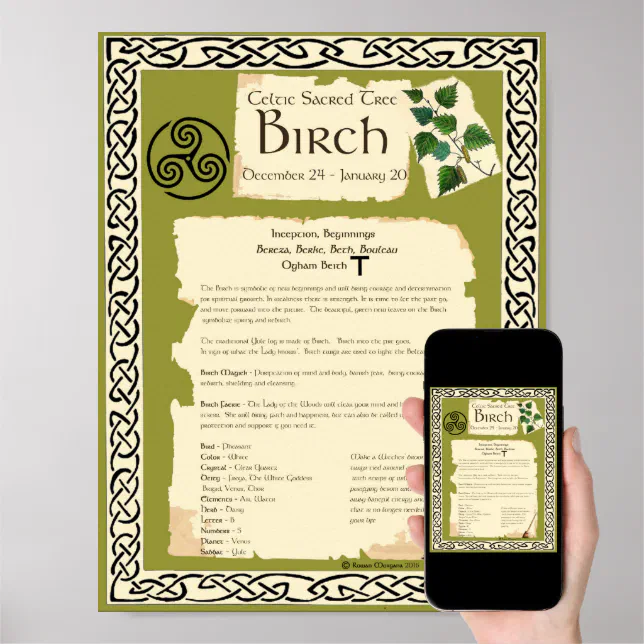BIRCH CELTIC SACRED TREE POSTER | Zazzle