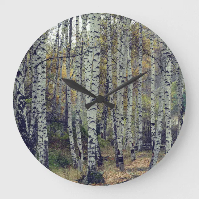 Birch Forrest Autumn Photo Round Wall Clock | Zazzle