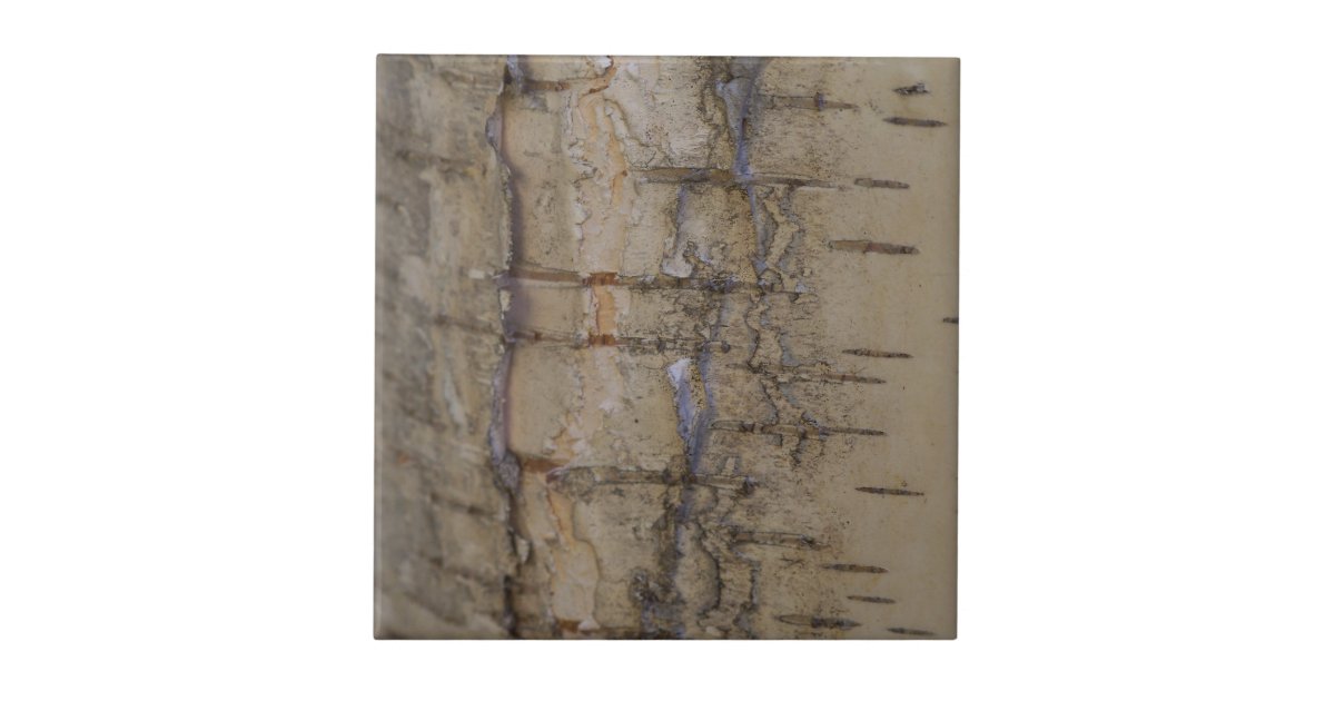 Birch Tree Bark Tile | Zazzle