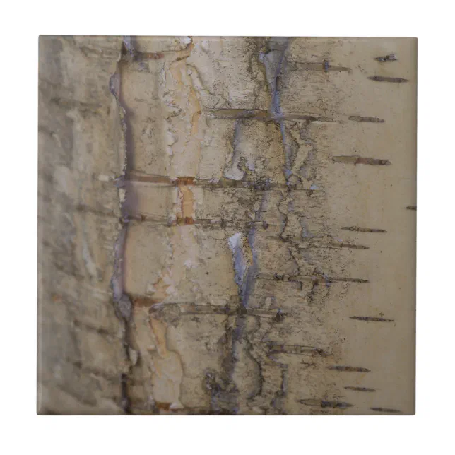 Birch Tree Bark Tile | Zazzle