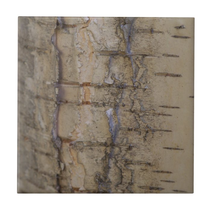 Birch Tree Bark Tile | Zazzle.com