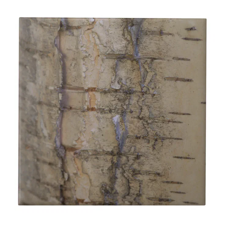Birch Tree Bark Tile | Zazzle