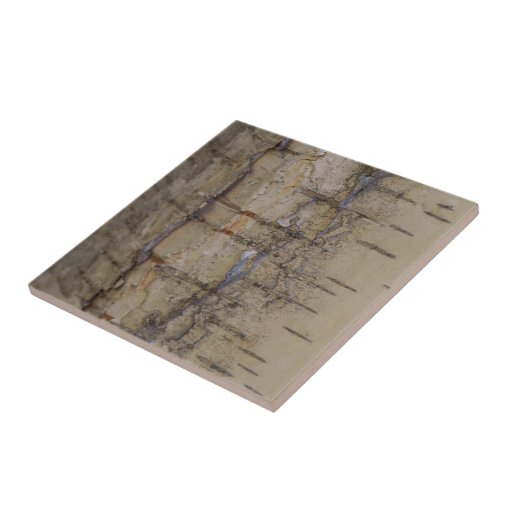 Birch Tree Bark Tile | Zazzle