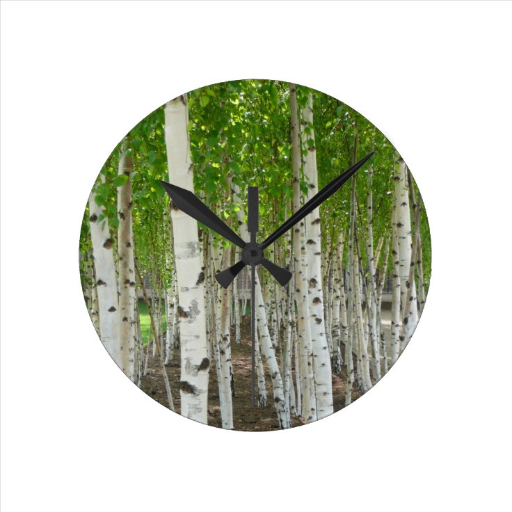 Birch Tree Clock | Zazzle