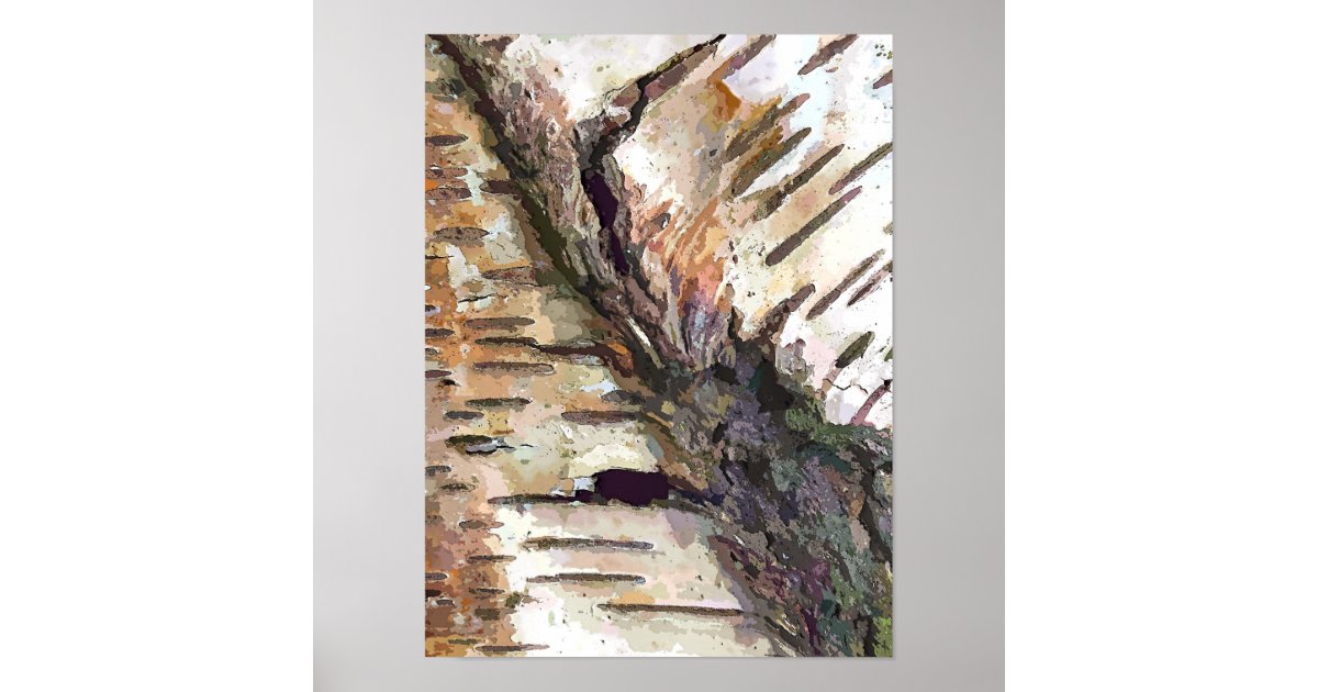 BIRCH TREE POSTER | Zazzle