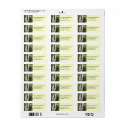 Birch Tree Return Address Label | Zazzle