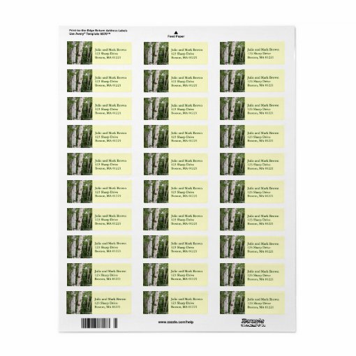 Birch Tree Return Address Label | Zazzle