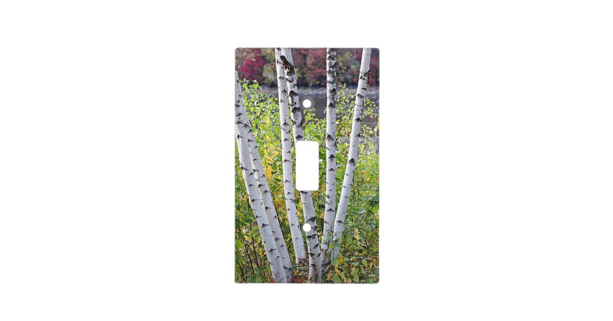 Birch trees light switch cover | Zazzle