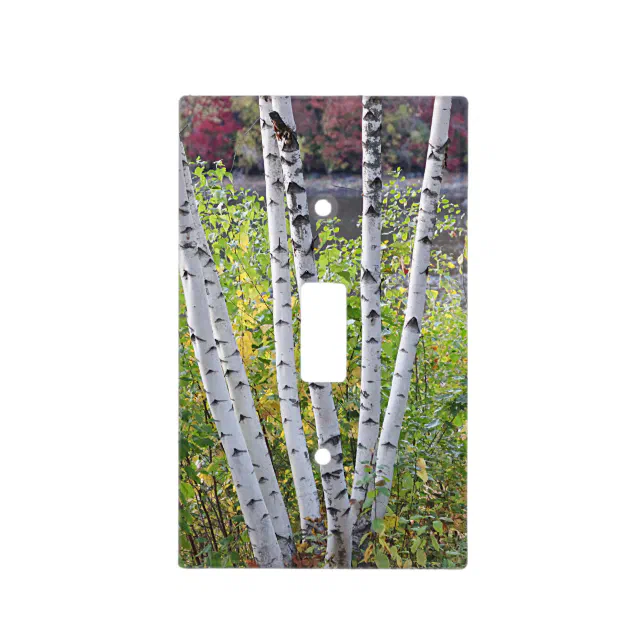 Birch trees light switch cover | Zazzle