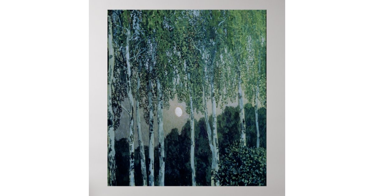 Birch Trees Poster | Zazzle