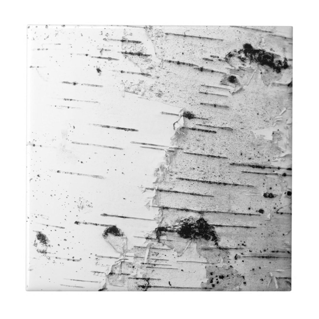 Birch trunk ceramic tile | Zazzle