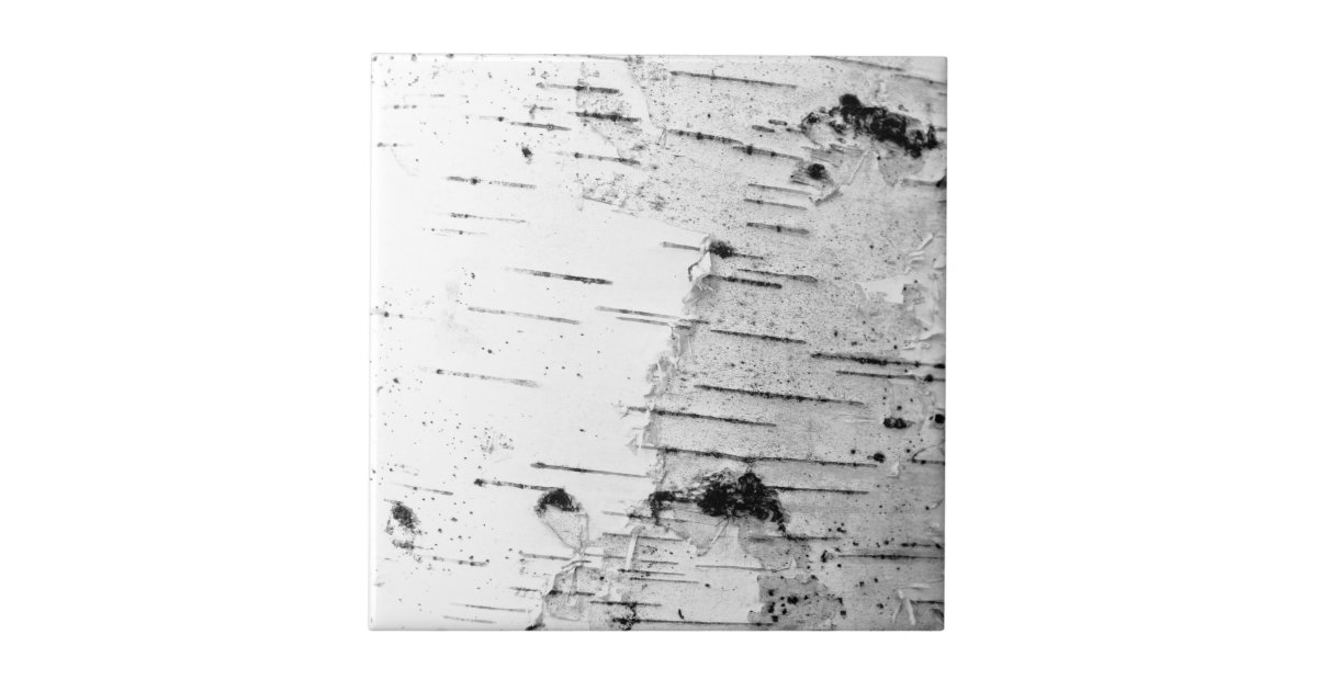 Birch trunk ceramic tile | Zazzle