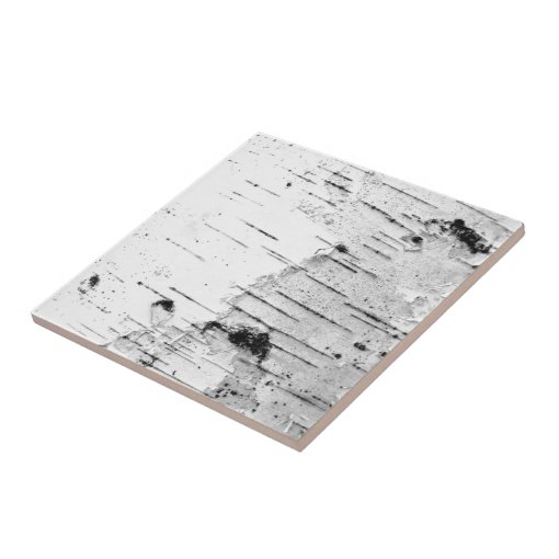 Birch trunk ceramic tile | Zazzle