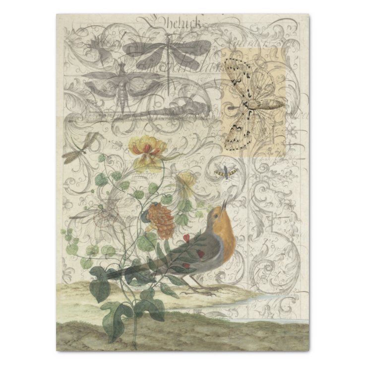 Bird Collage Tissue Paper | Zazzle