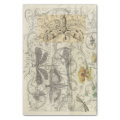Bird Collage Tissue Paper | Zazzle