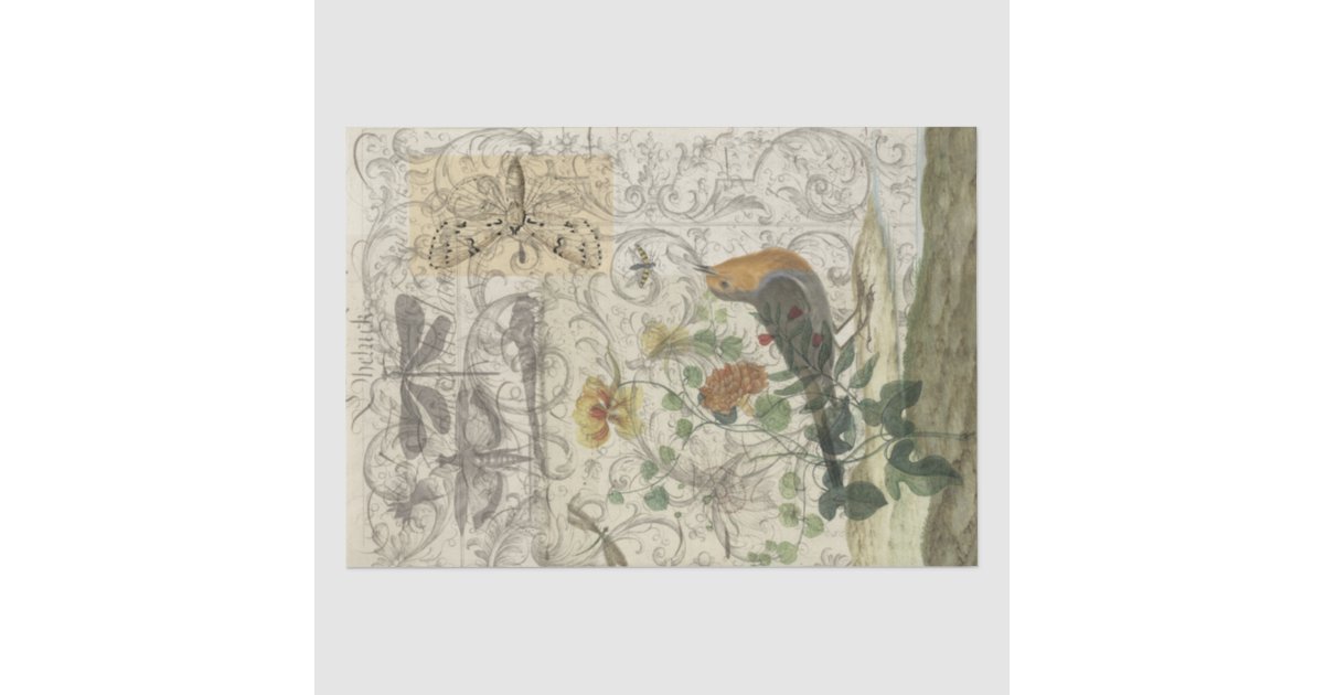 Bird Collage Tissue Paper | Zazzle