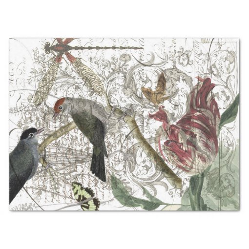 Bird Collage Tissue Paper | Zazzle