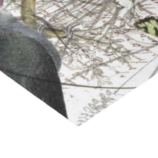 Bird Collage Tissue Paper | Zazzle