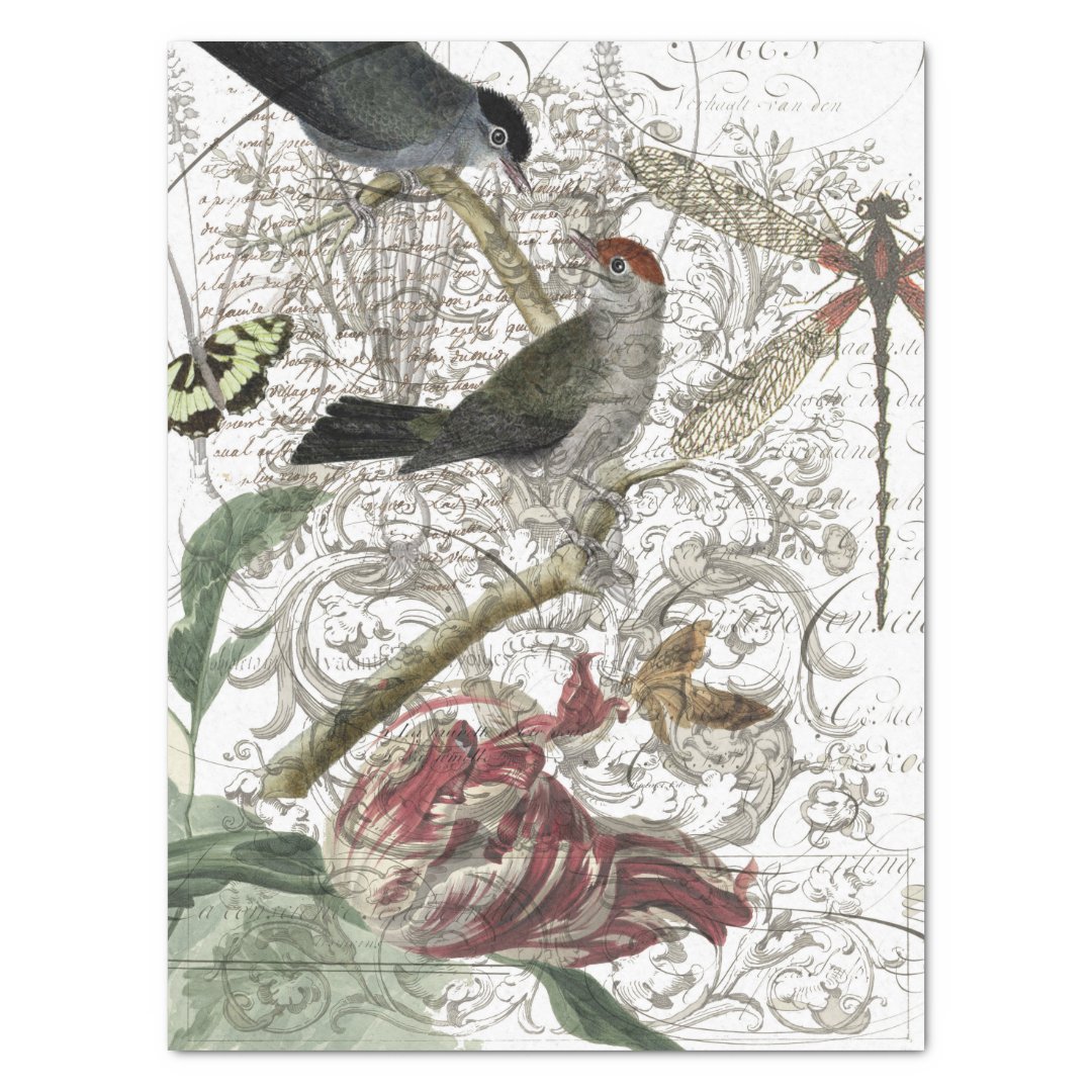 Bird Collage Tissue Paper | Zazzle