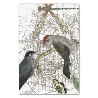 Bird Collage Tissue Paper | Zazzle