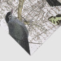 Bird Collage Tissue Paper | Zazzle