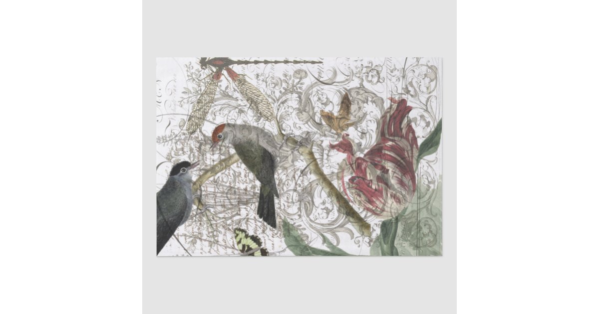 Bird Collage Tissue Paper | Zazzle