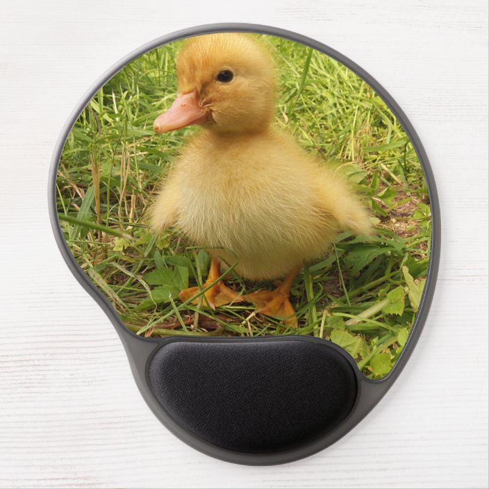 bird, duck, duckling, yellow, nature, cute, baby, gel mouse pad ...