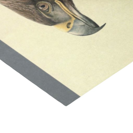 Bird Ephemera Decoupage Brown Eagle Tissue Paper | Zazzle