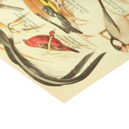 Bird Ephemera Decoupage Cardinal Tissue Paper | Zazzle
