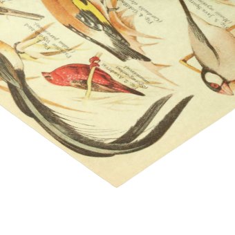 Bird Ephemera Decoupage Cardinal Tissue Paper | Zazzle