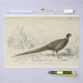 Bird Ephemera Decoupage French Pheasant Tissue Paper | Zazzle